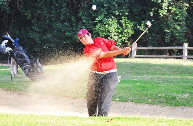 Anthony Maccioli - 2012-13 - Men's Golf - Chico State Athletics