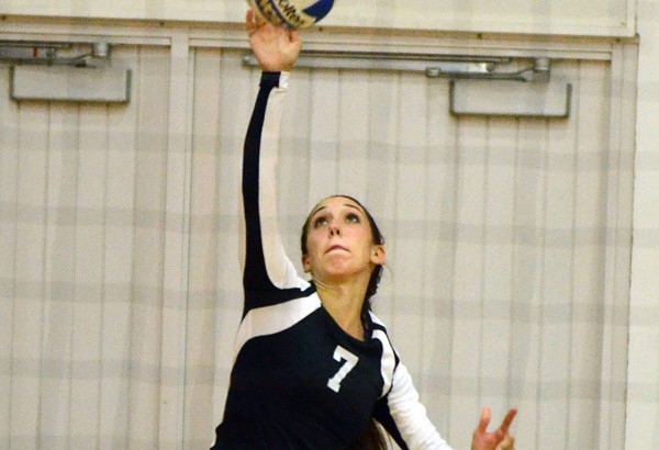 Shannon Cotton - 2014 - Volleyball - Chico State Athletics