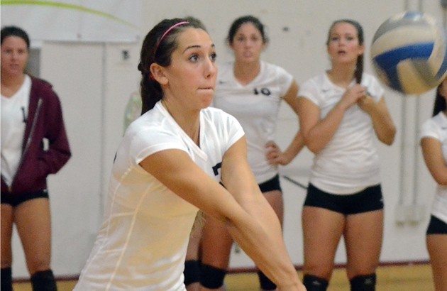 Shannon Cotton - 2014 - Volleyball - Chico State Athletics