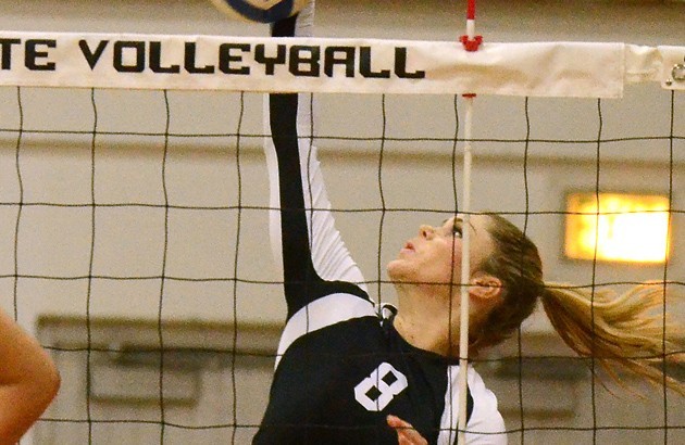 Shannon Boling - 2014 - Volleyball - Chico State Athletics