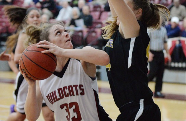 Ashtyn Anderson - 2014-15 - Women's Basketball - Chico State Athletics