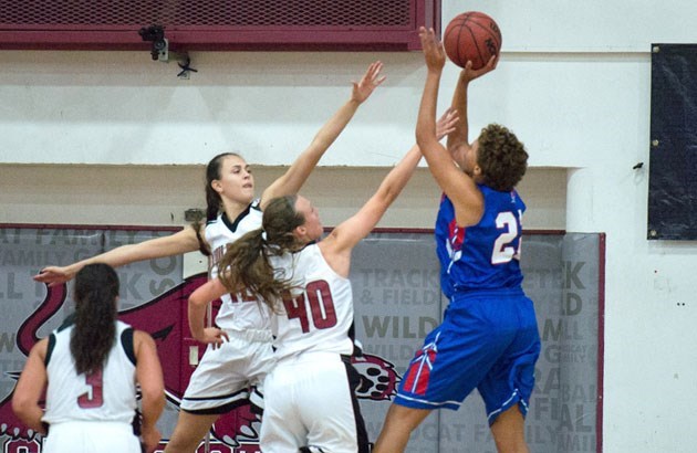 Haley Cremen - 2015-16 - Women's Basketball - Chico State Athletics