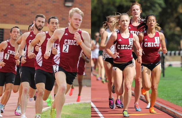 Quetta Peinado - 2016 - Women's Track - Chico State Athletics