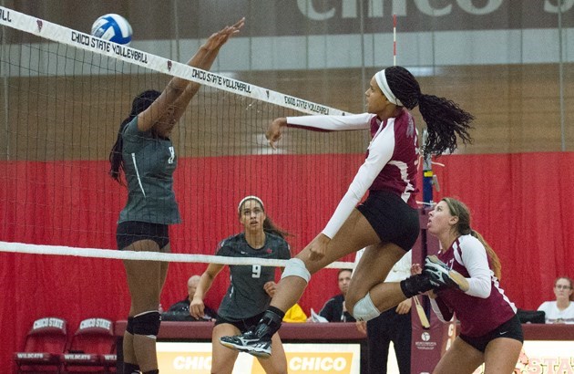 Janai Johnson - 2015 - Volleyball - Chico State Athletics
