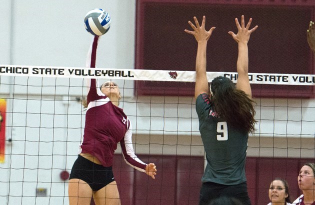 Shannon Boling - 2015 - Volleyball - Chico State Athletics