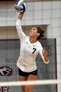 Shannon Cotton - 2016 - Volleyball - Chico State Athletics