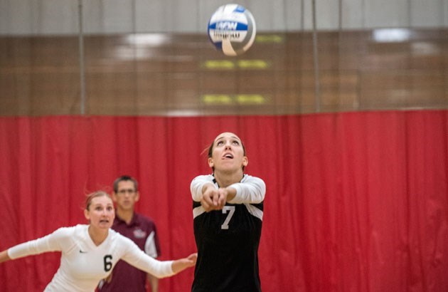 Shannon Cotton - 2016 - Volleyball - Chico State Athletics