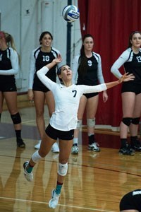 Shannon Cotton - 2016 - Volleyball - Chico State Athletics