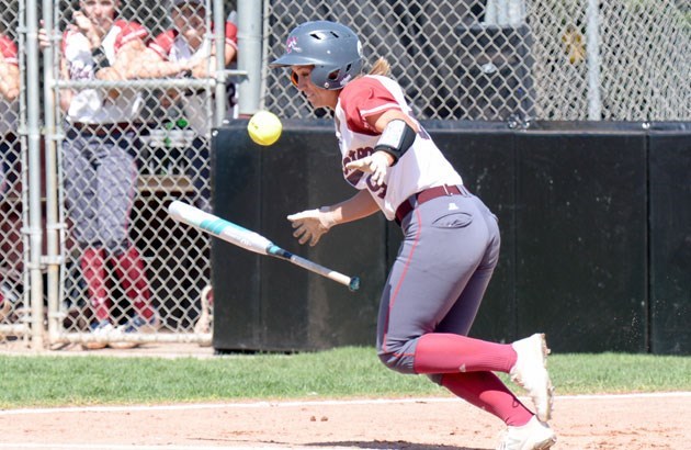 Alli Cook - 2016 - Softball - Chico State Athletics