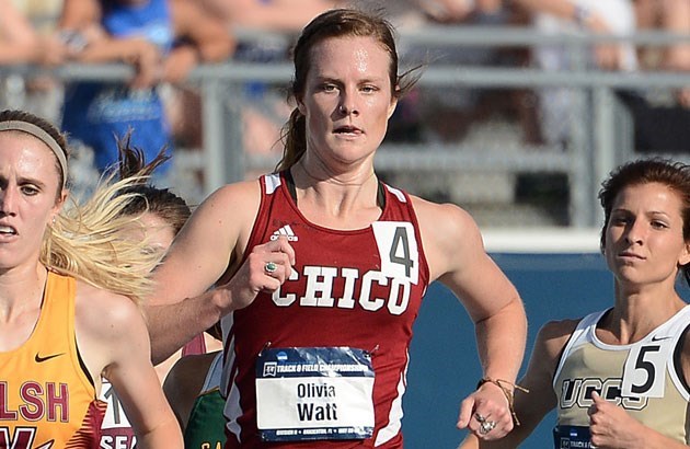 Olivia Watt - 2016 - Women's Track - Chico State Athletics