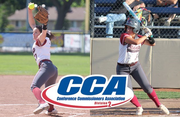 Alli Cook - 2016 - Softball - Chico State Athletics