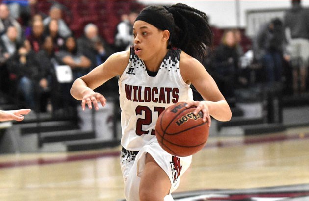 Shay Stark - 2017-18 - Women's Basketball - Chico State Athletics