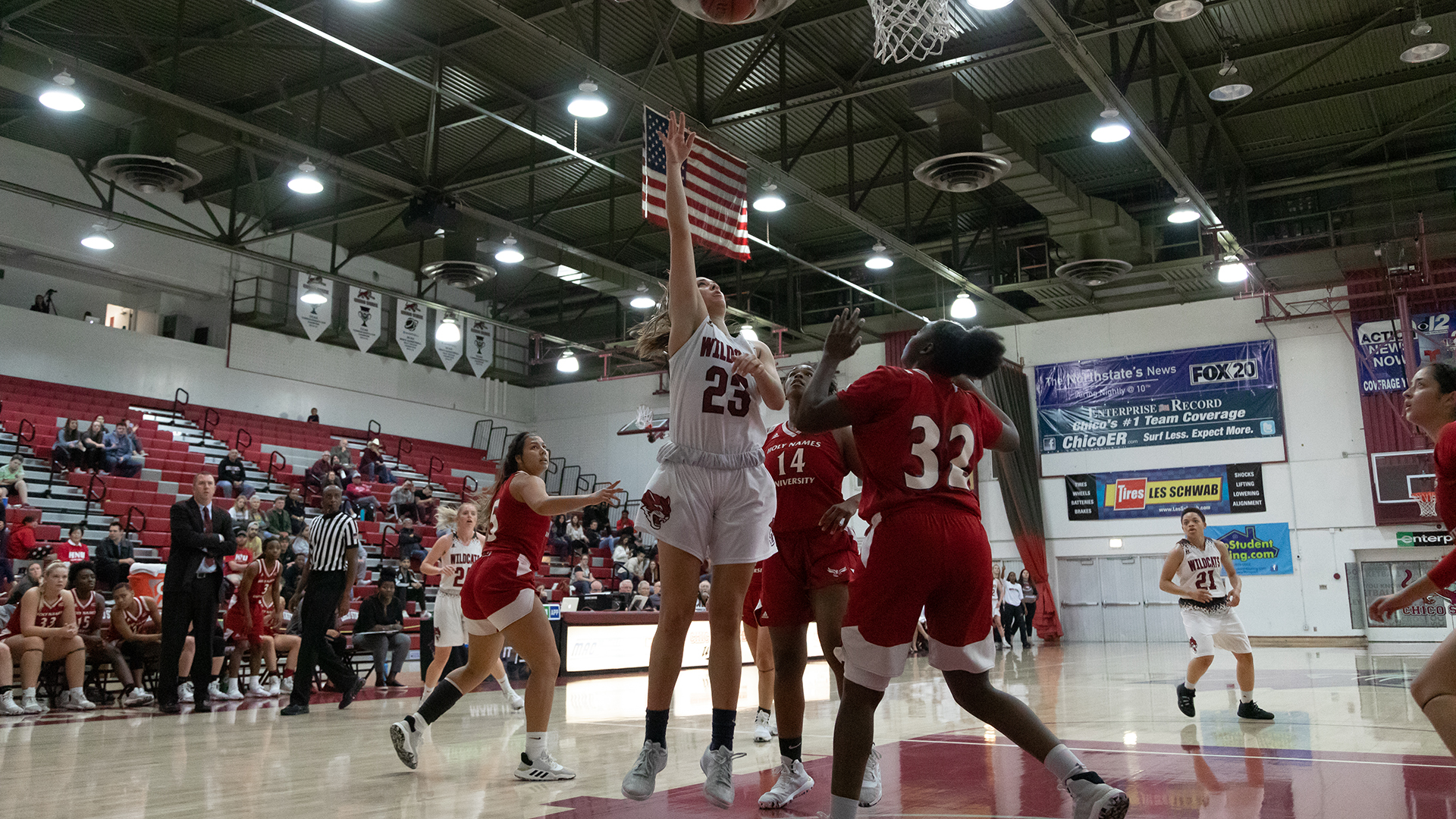 Haley Ison - 2019-20 - Women's Basketball - Chico State Athletics