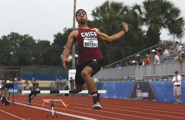 Isaiah Roybal - 2019 - Men's Track & Field - Chico State Athletics