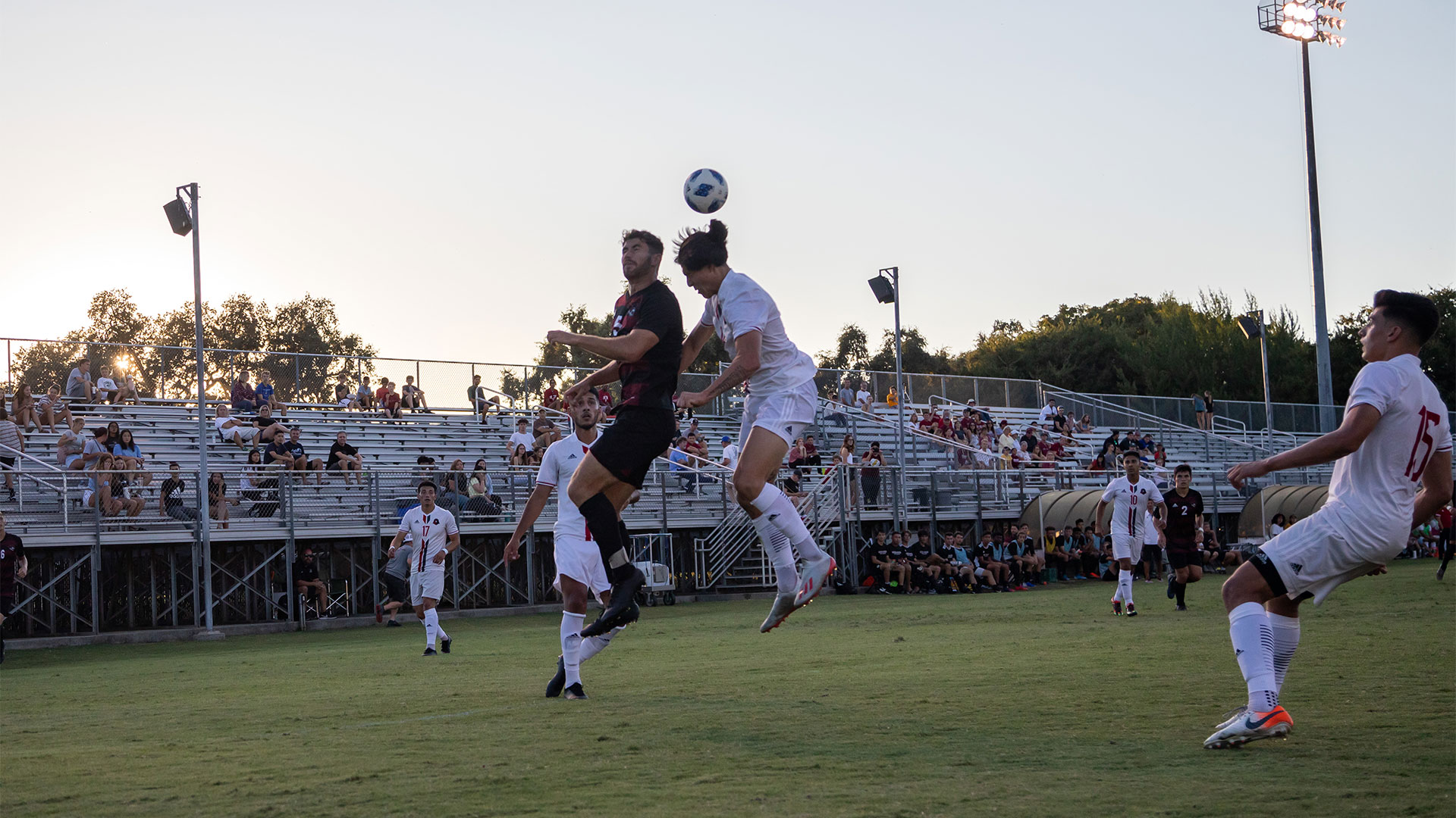 Wildcats meet another side off to a strong start in 2019 home opener ...