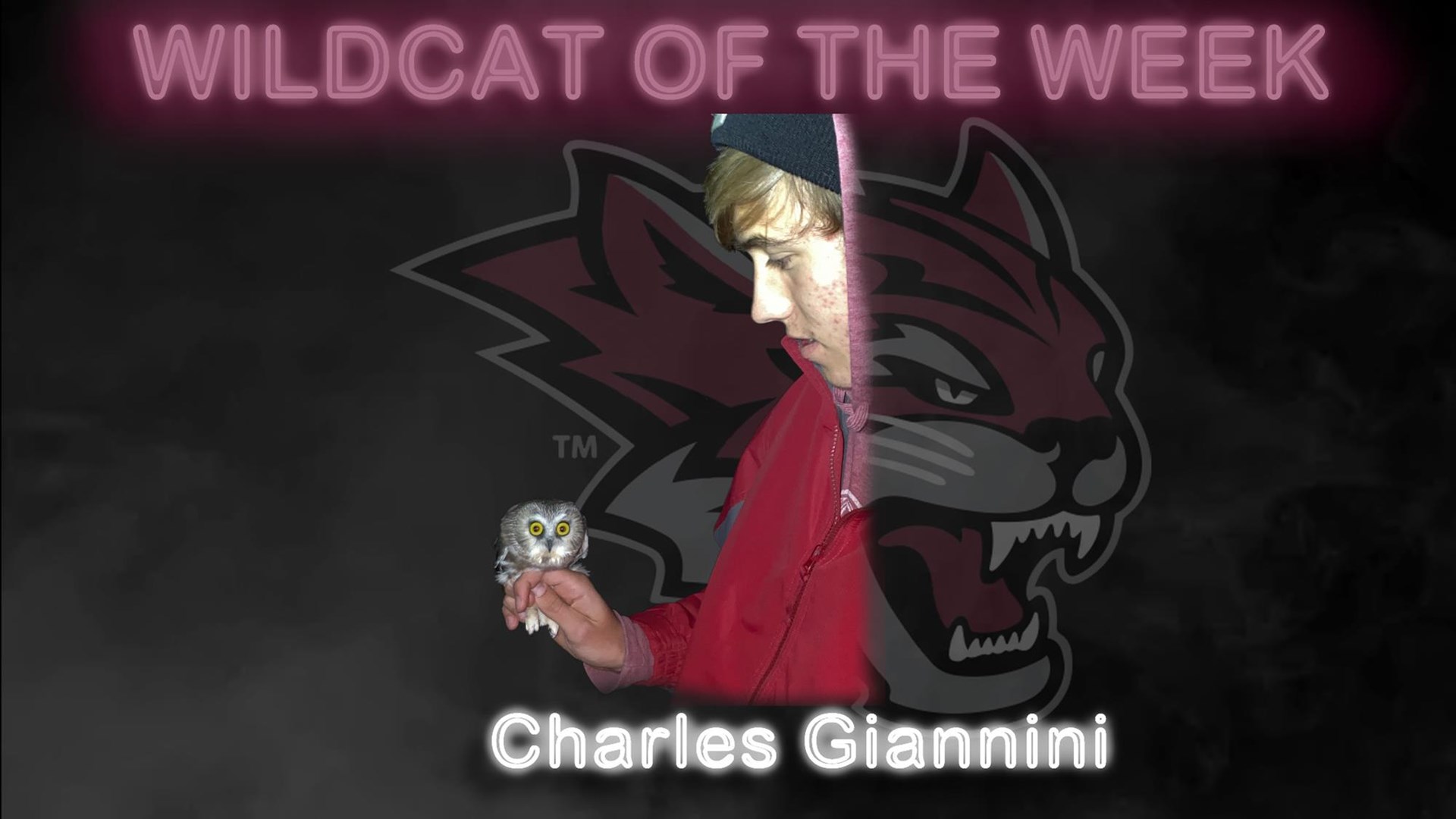 Charlie Giannini - 2023 - Men's Cross Country - Chico State Athletics