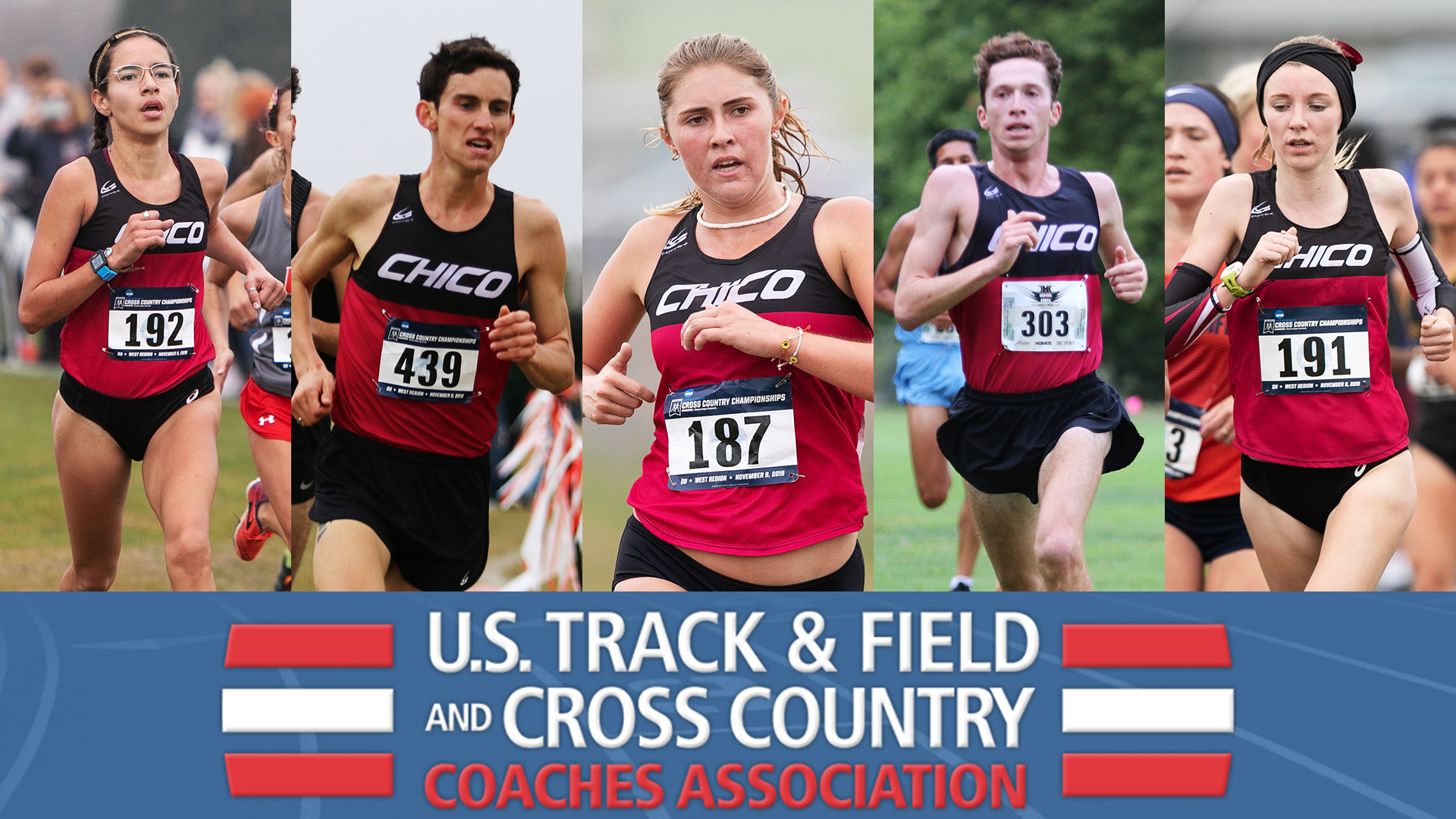 Matthew Herrera - 2019 - Men's Cross Country - Chico State Athletics