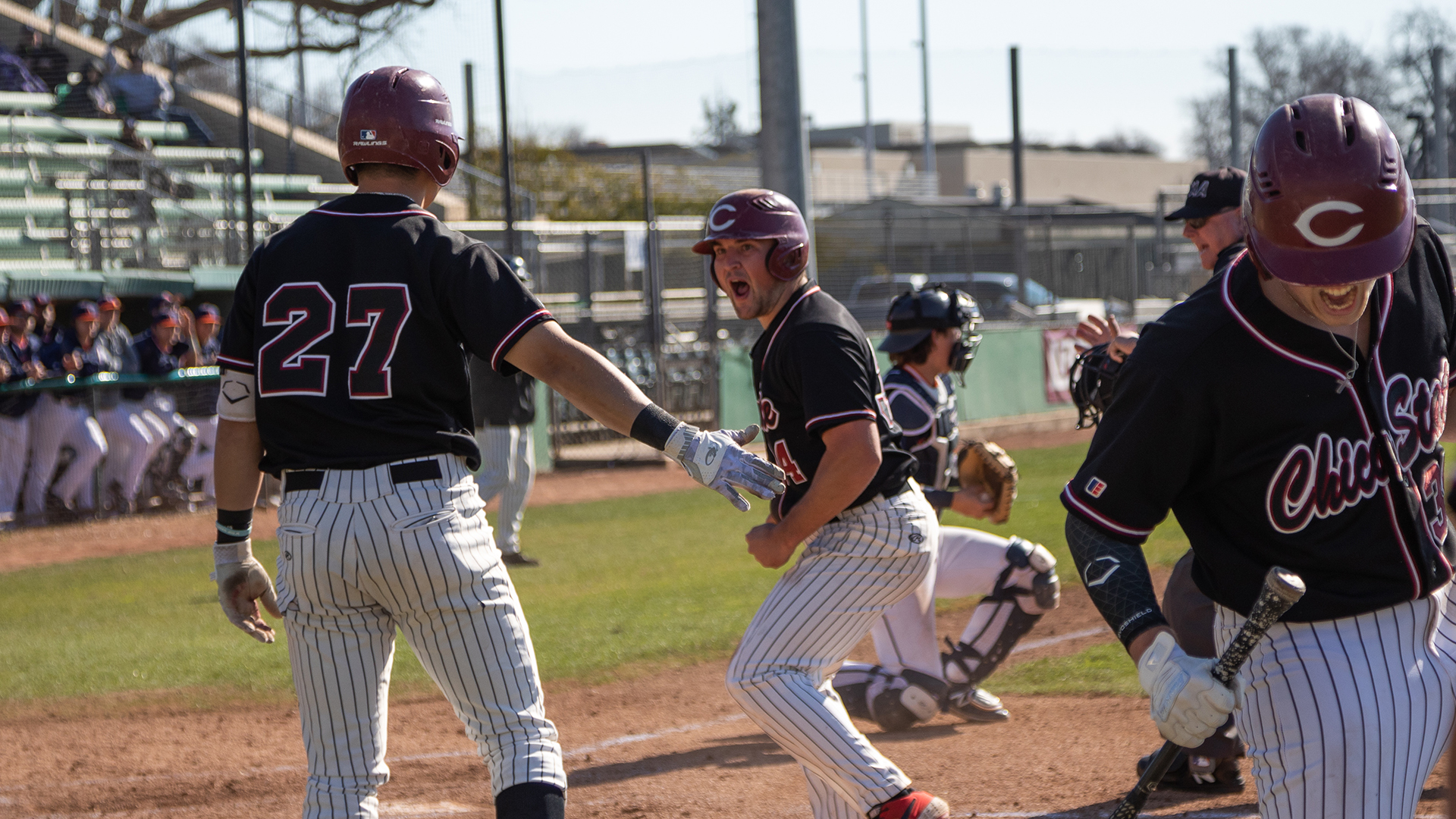 Willie Lajoie - 2020 - Baseball - Chico State Athletics