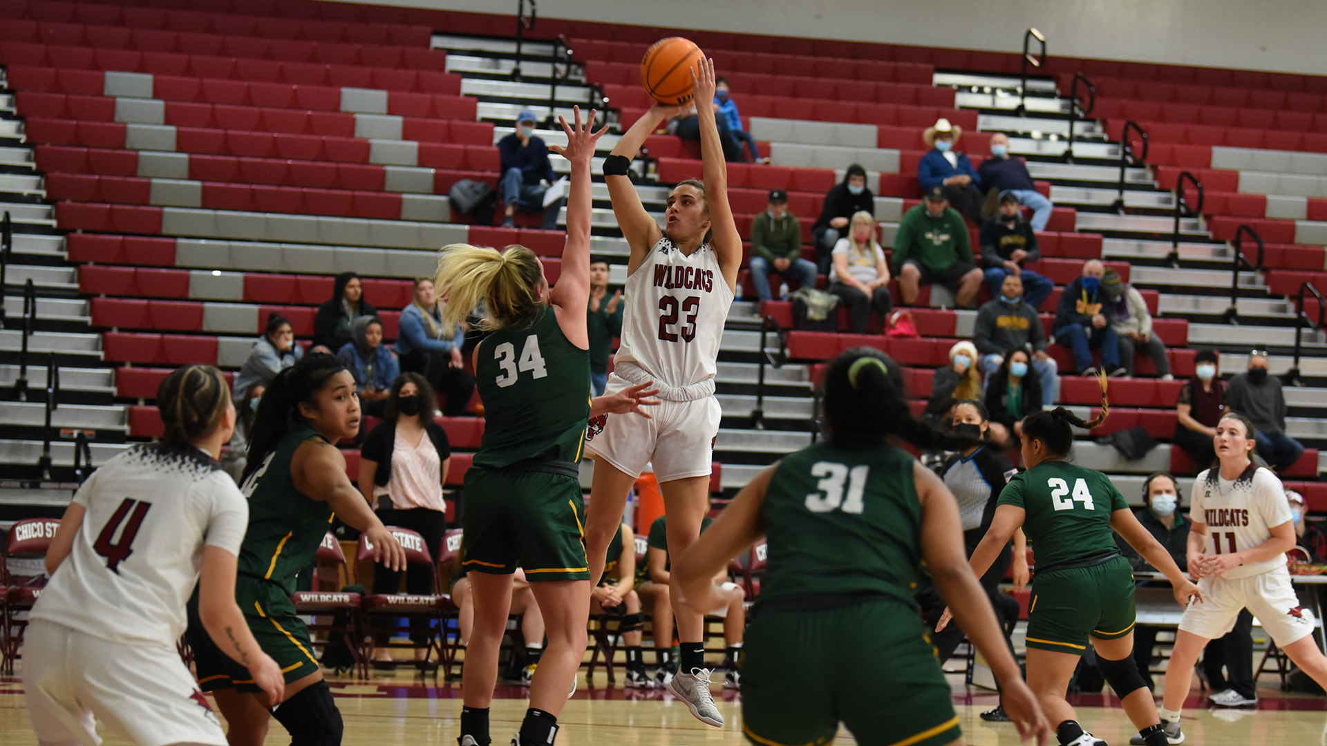 Haley Ison - 2021-22 - Women's Basketball - Chico State Athletics