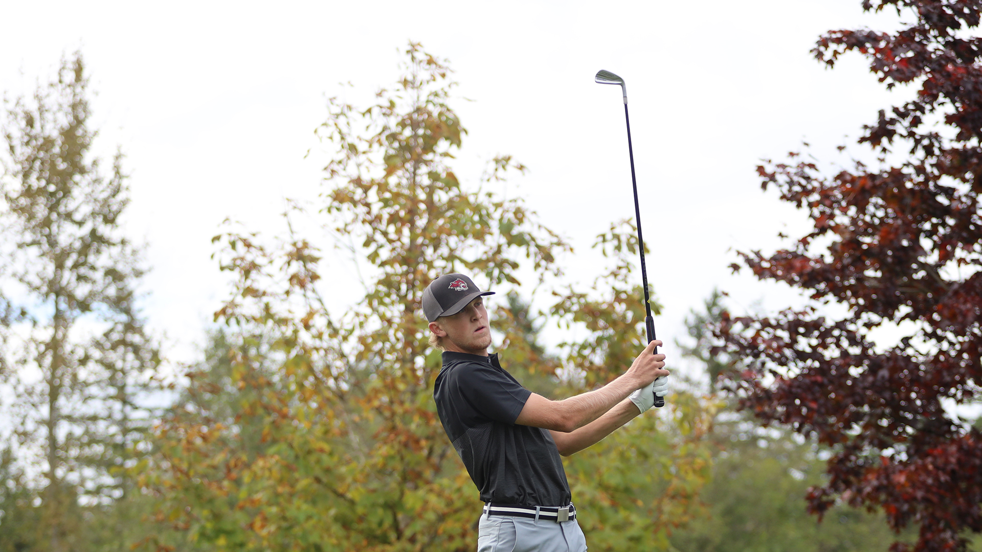 Tyler Ashman - 2021-22 - Men's Golf - Chico State Athletics