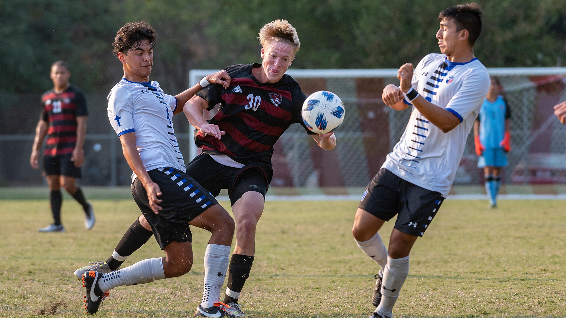 Wildcats Drop 1-0 Decision at Western Washington - Chico State Athletics