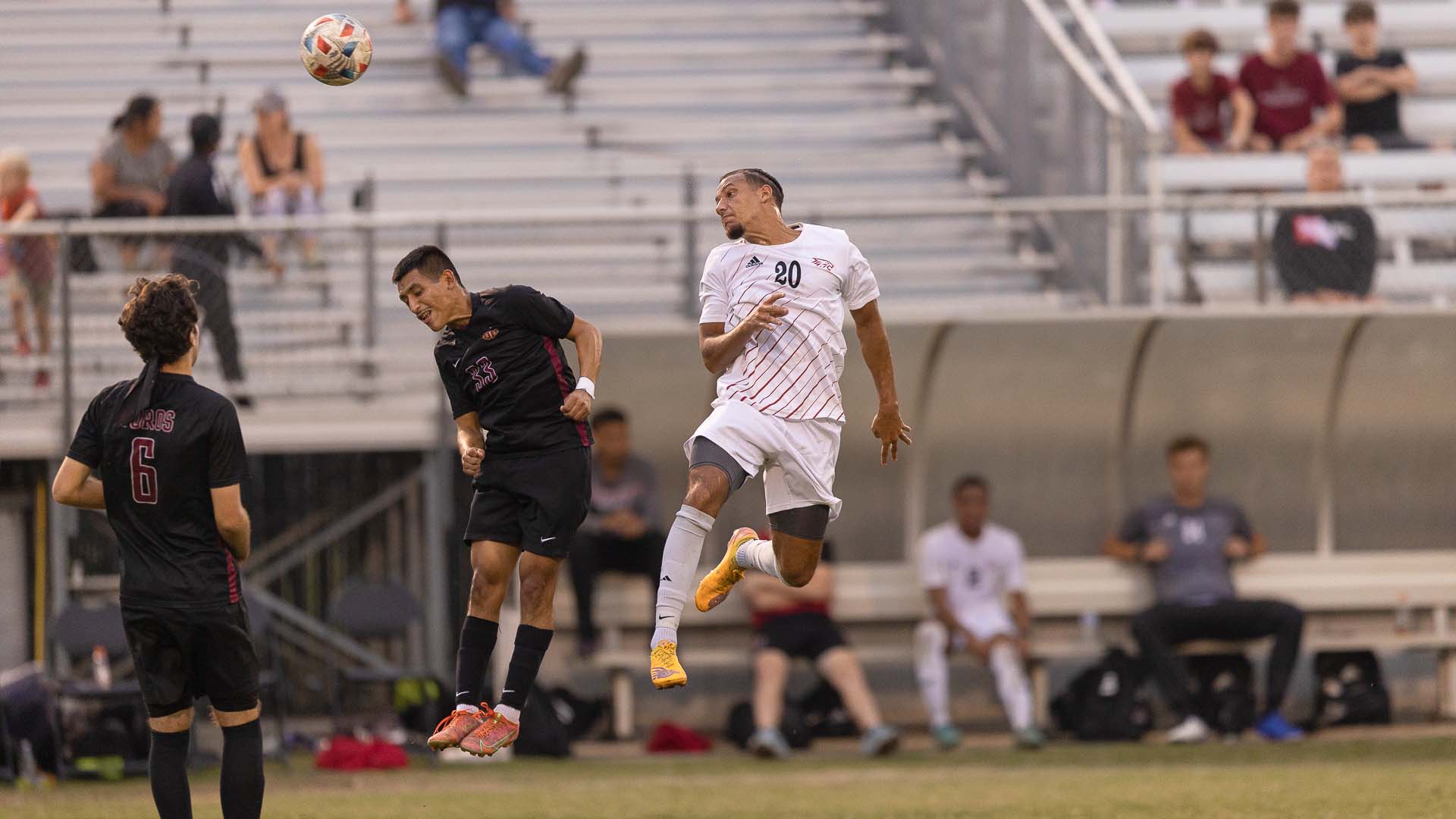 Luis Albarran - 2022 - Men's Soccer - Chico State Athletics