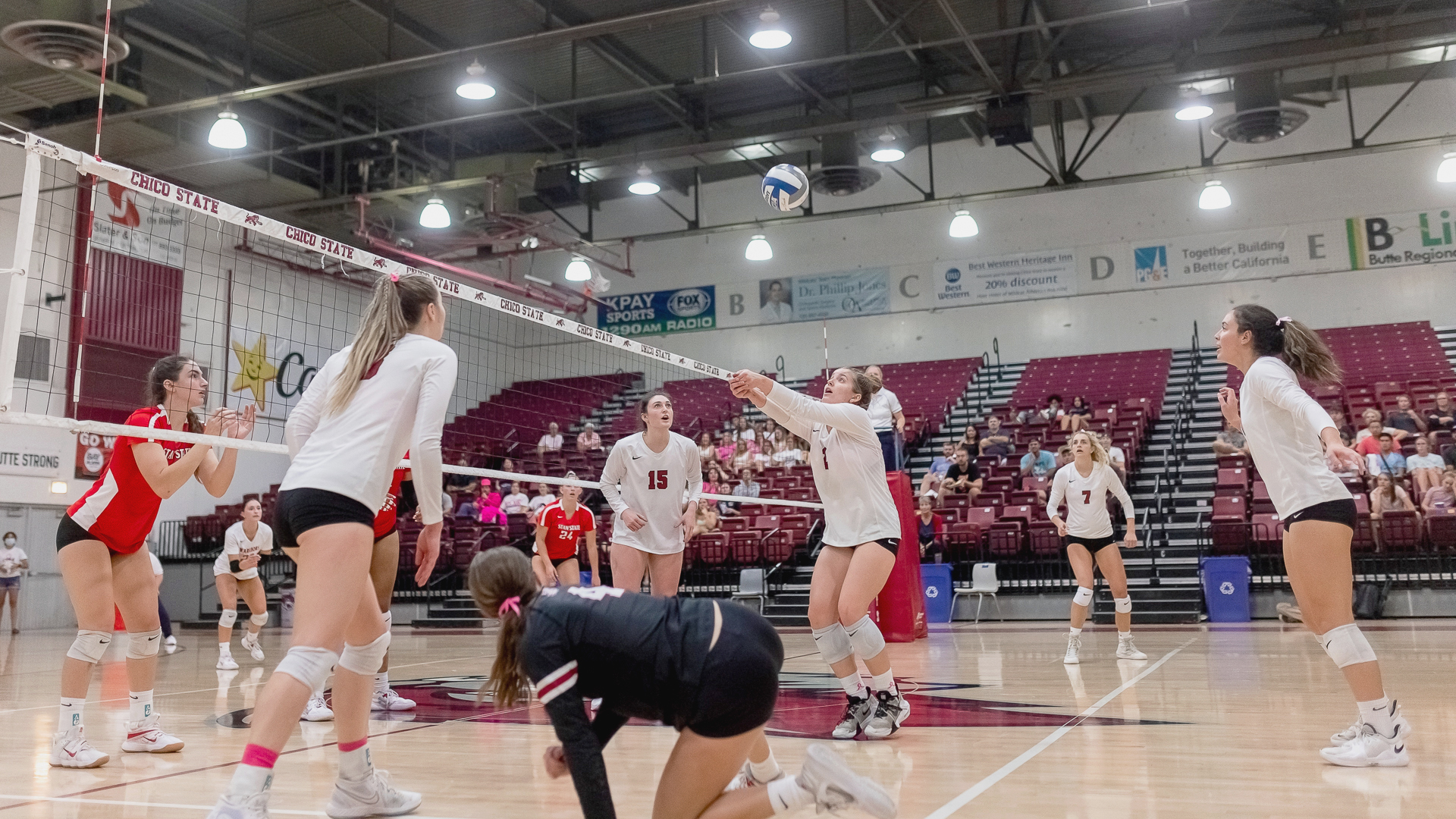 Brooklynn Anderson - 2023 - Volleyball - Chico State Athletics