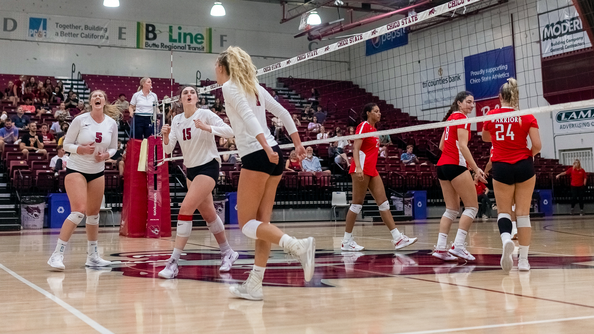 Brooklynn Anderson - 2023 - Volleyball - Chico State Athletics