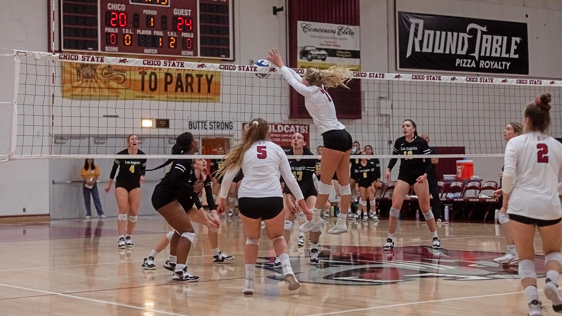 Brooklynn Anderson - 2023 - Volleyball - Chico State Athletics