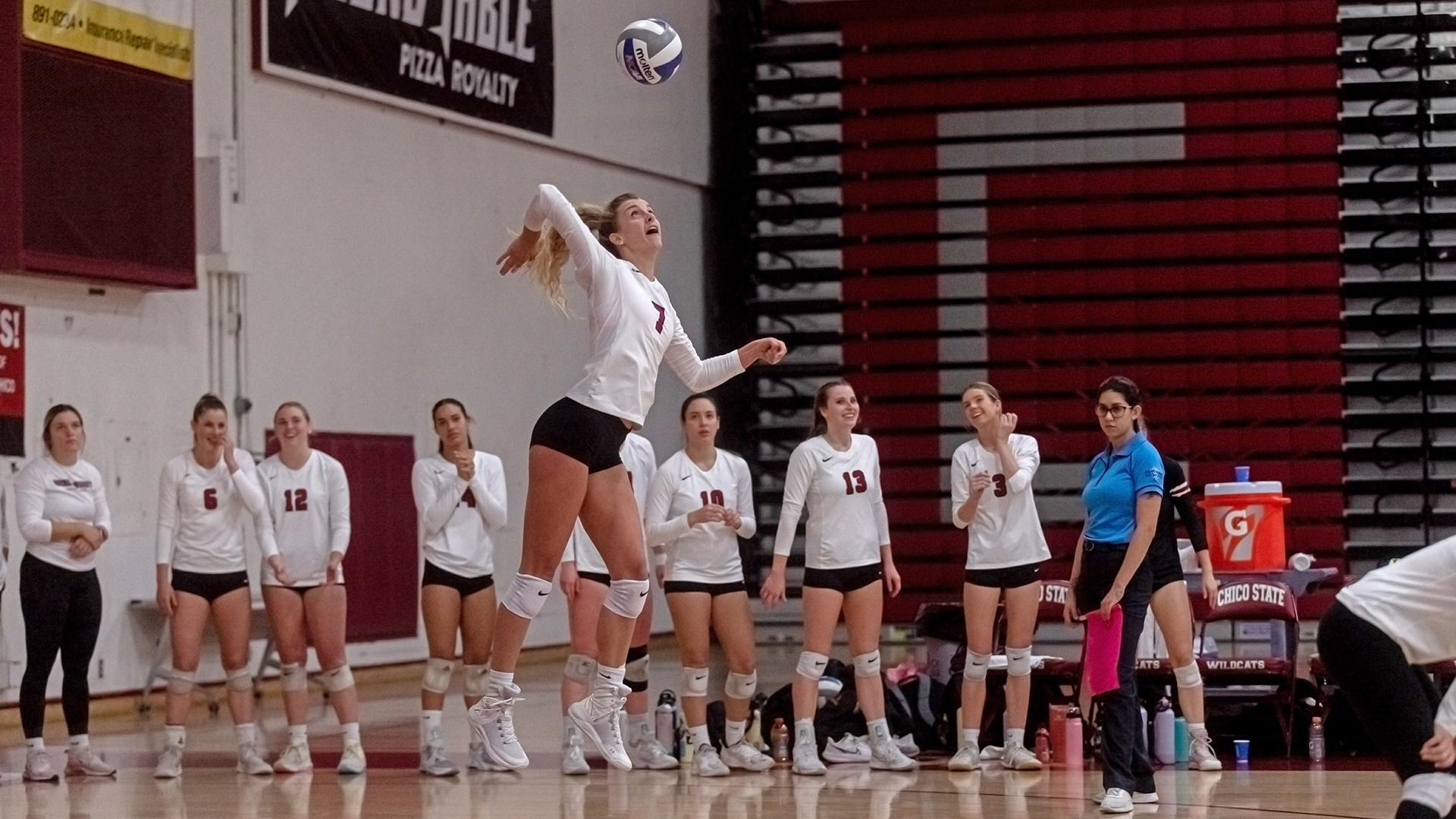 Brooklynn Anderson - 2023 - Volleyball - Chico State Athletics
