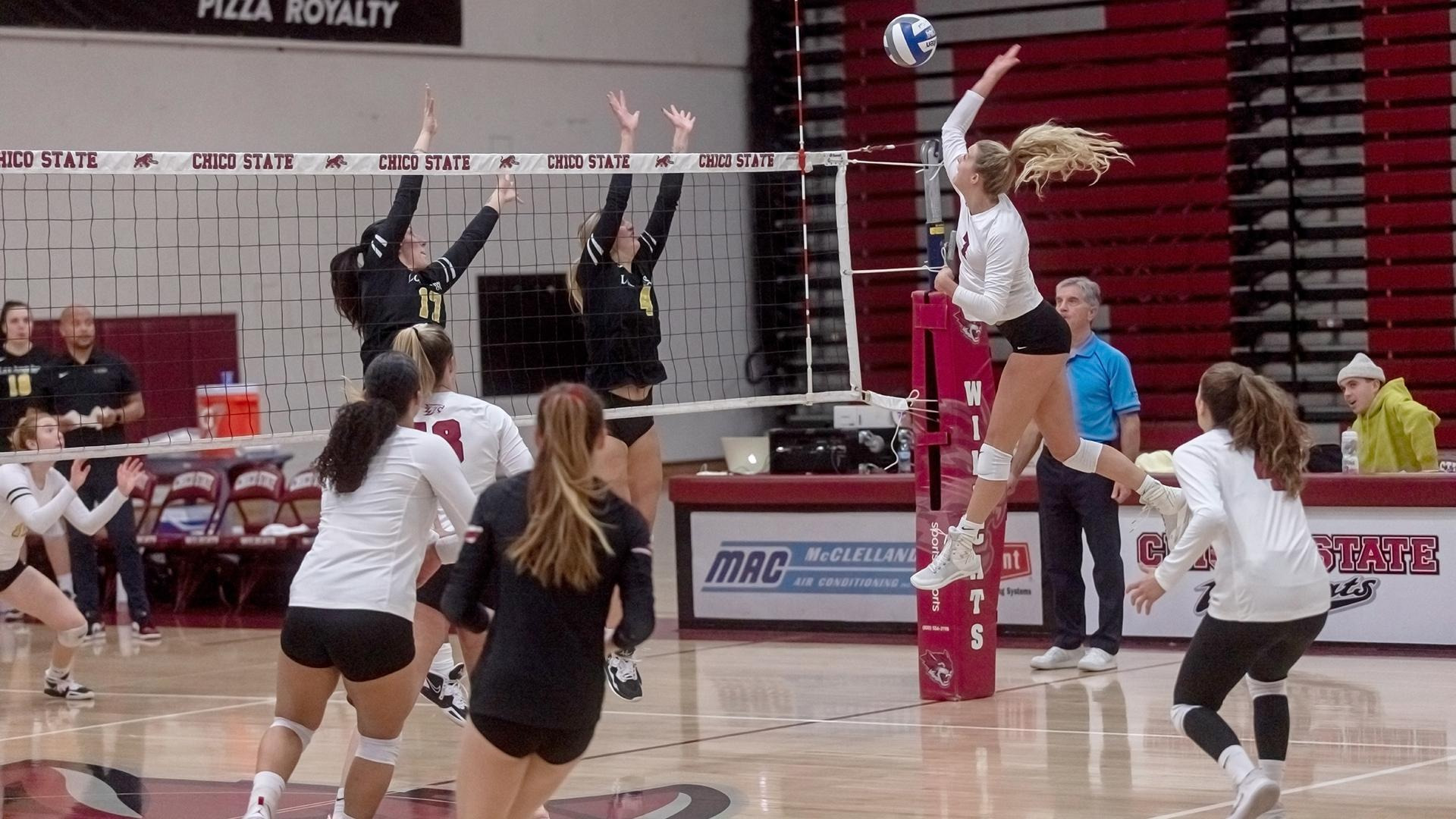 Brooklynn Anderson - 2023 - Volleyball - Chico State Athletics