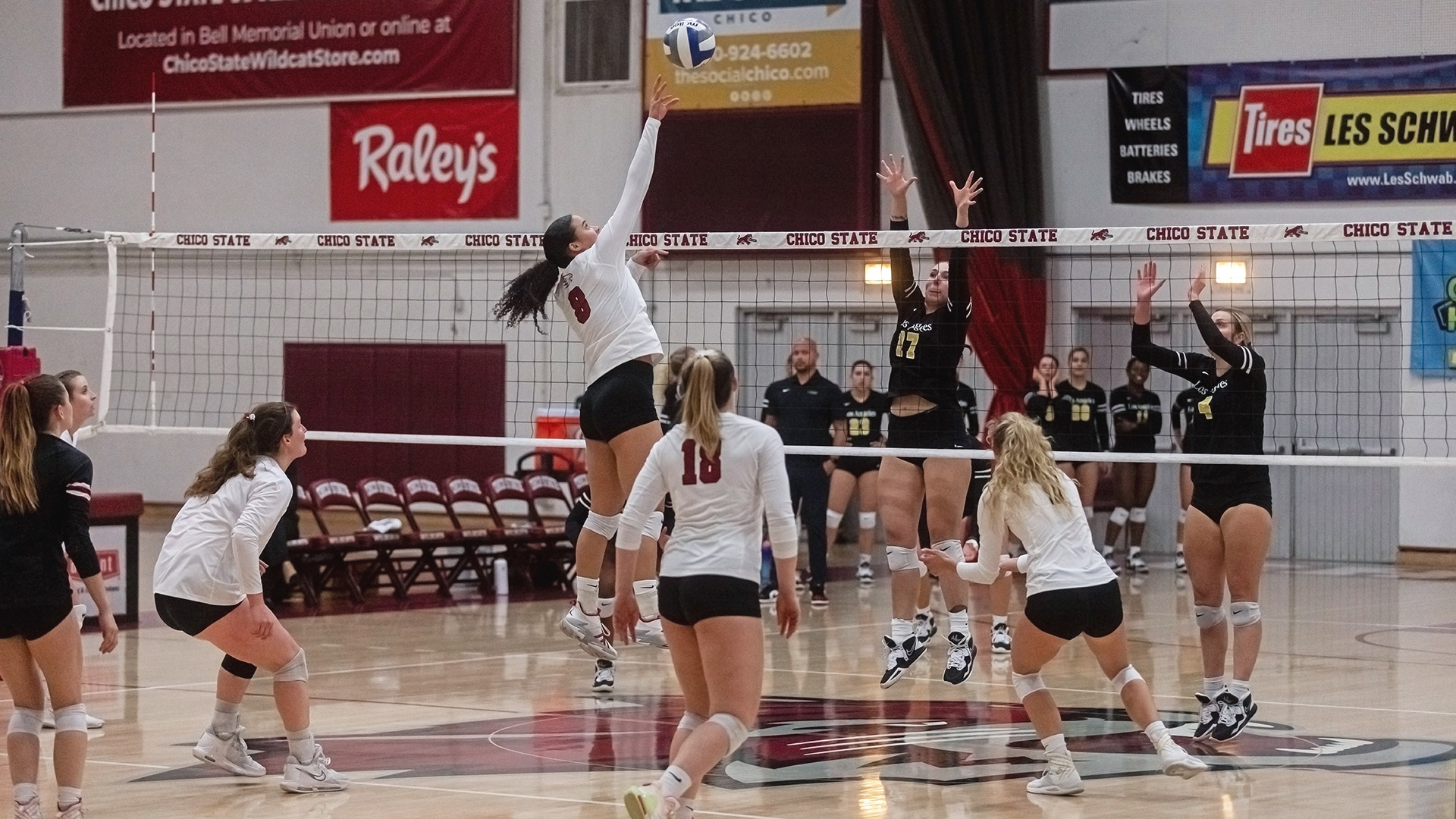 Nariah Prescott - 2022 - Volleyball - Chico State Athletics