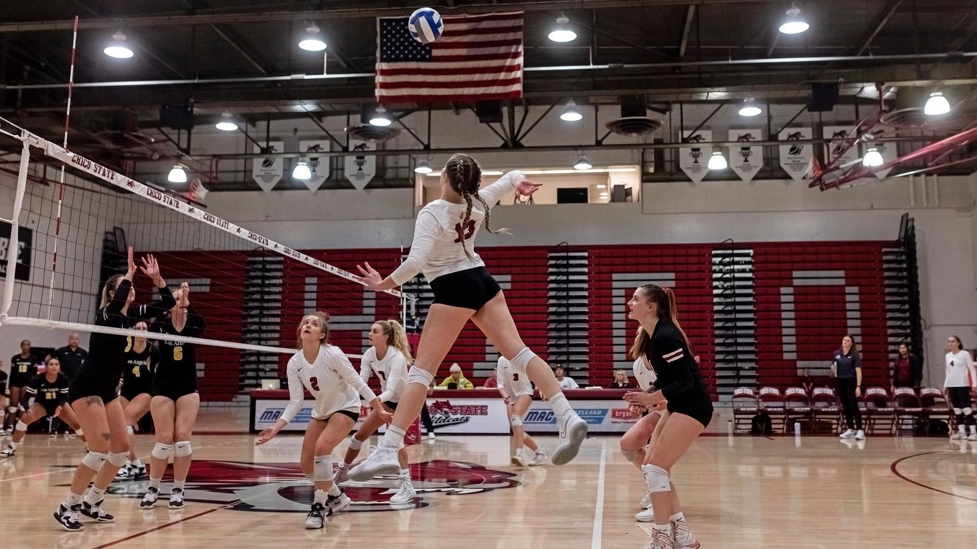 Zoe DiNardo - 2023 - Volleyball - Chico State Athletics