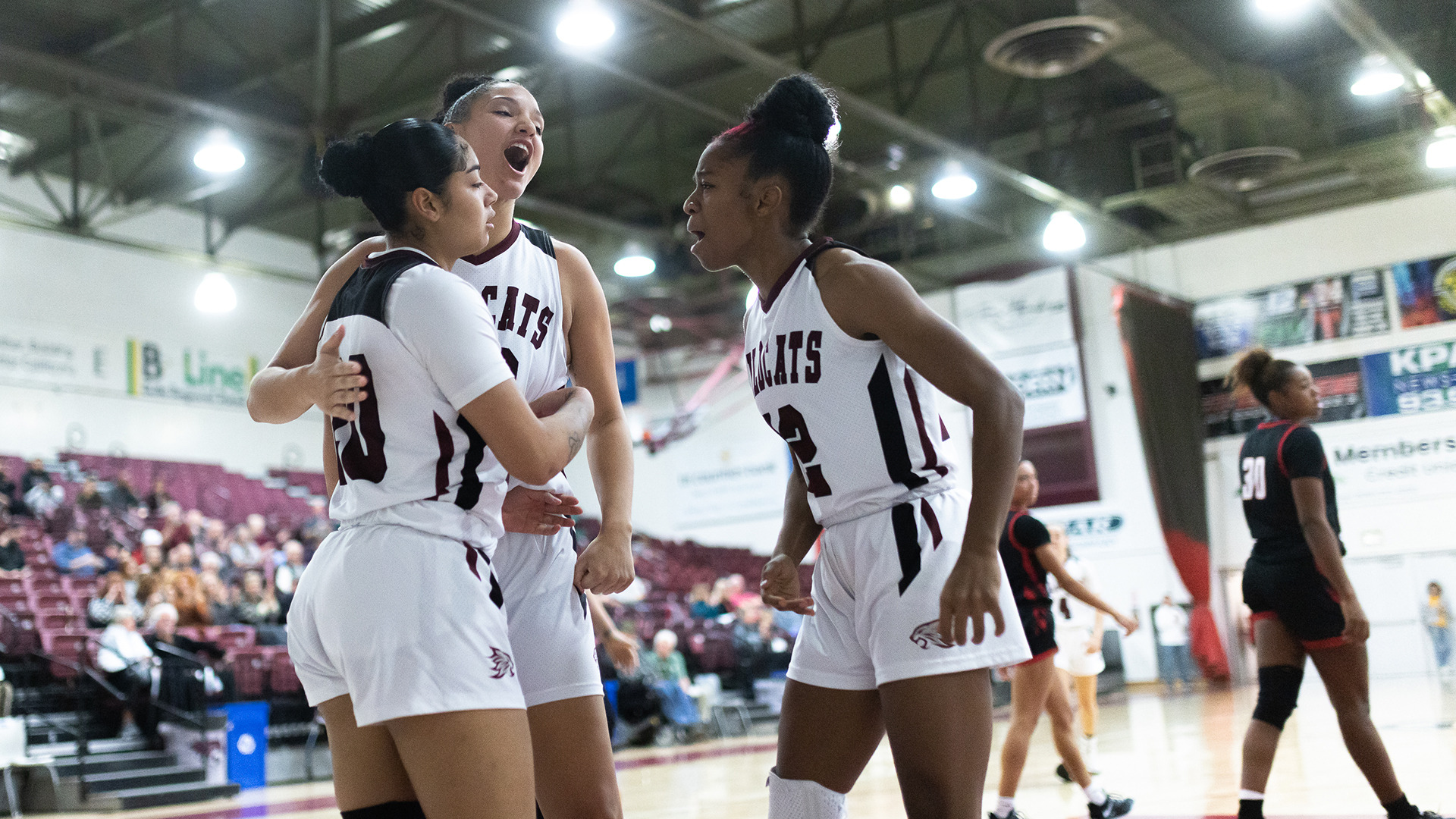 An array of season highs fuels Wildcats to win over Stanislaus State ...