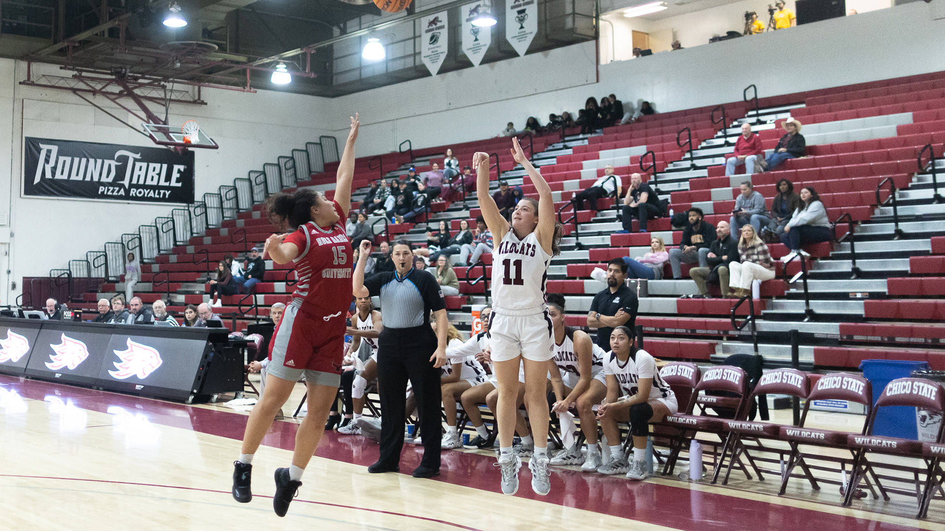 ’Cats come back from 20 down, but Seawolves win in final seconds ...