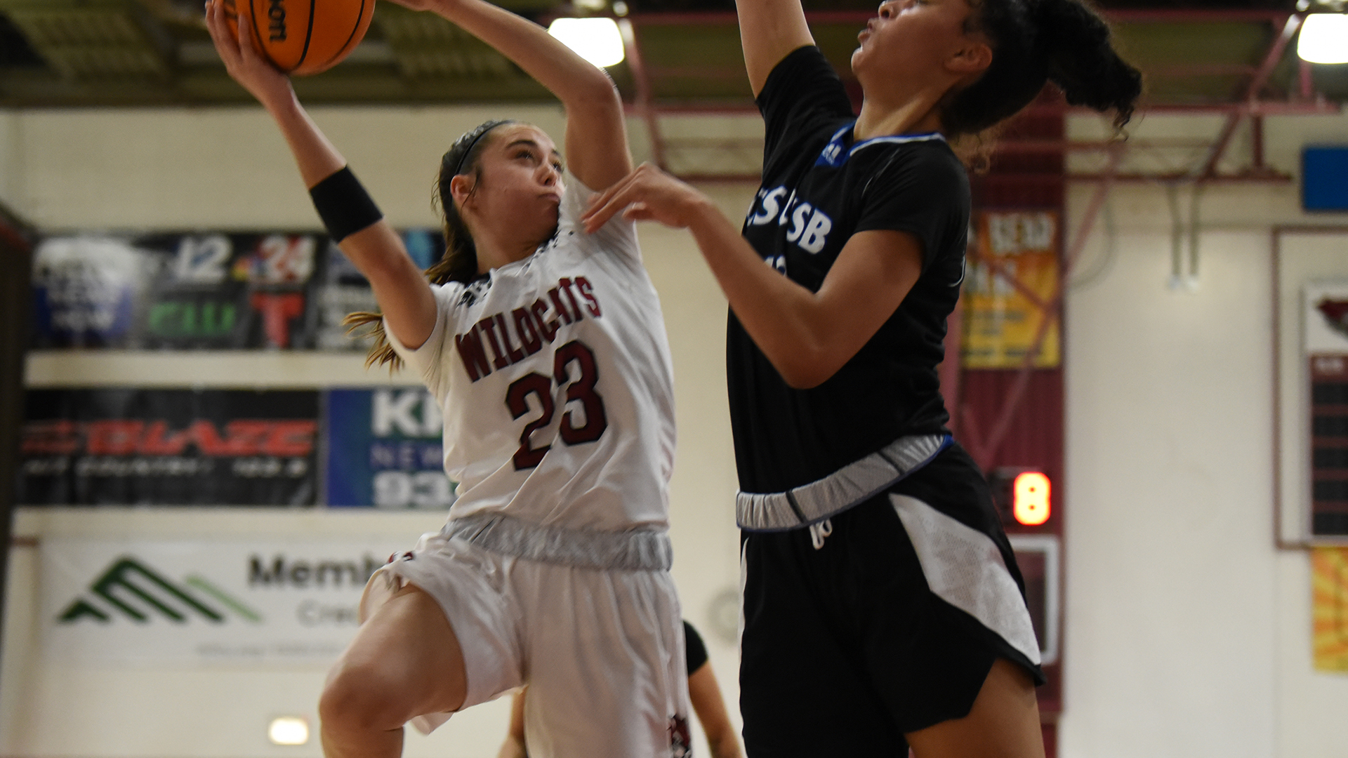 Haley Ison - 2021-22 - Women's Basketball - Chico State Athletics