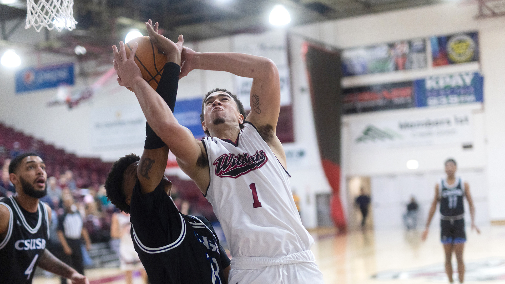 ’Cats unable to stop East Bay late, fall to Pioneers 78-69 - Chico ...