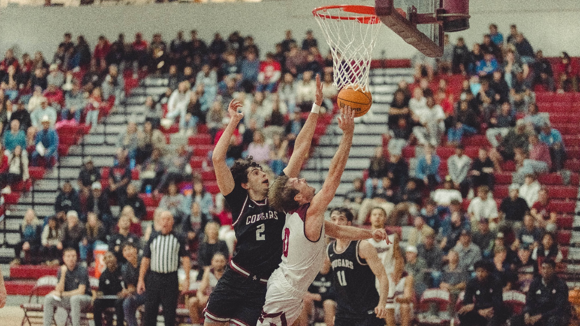 Evan Oliver - 2023-24 - Men's Basketball - Chico State Athletics