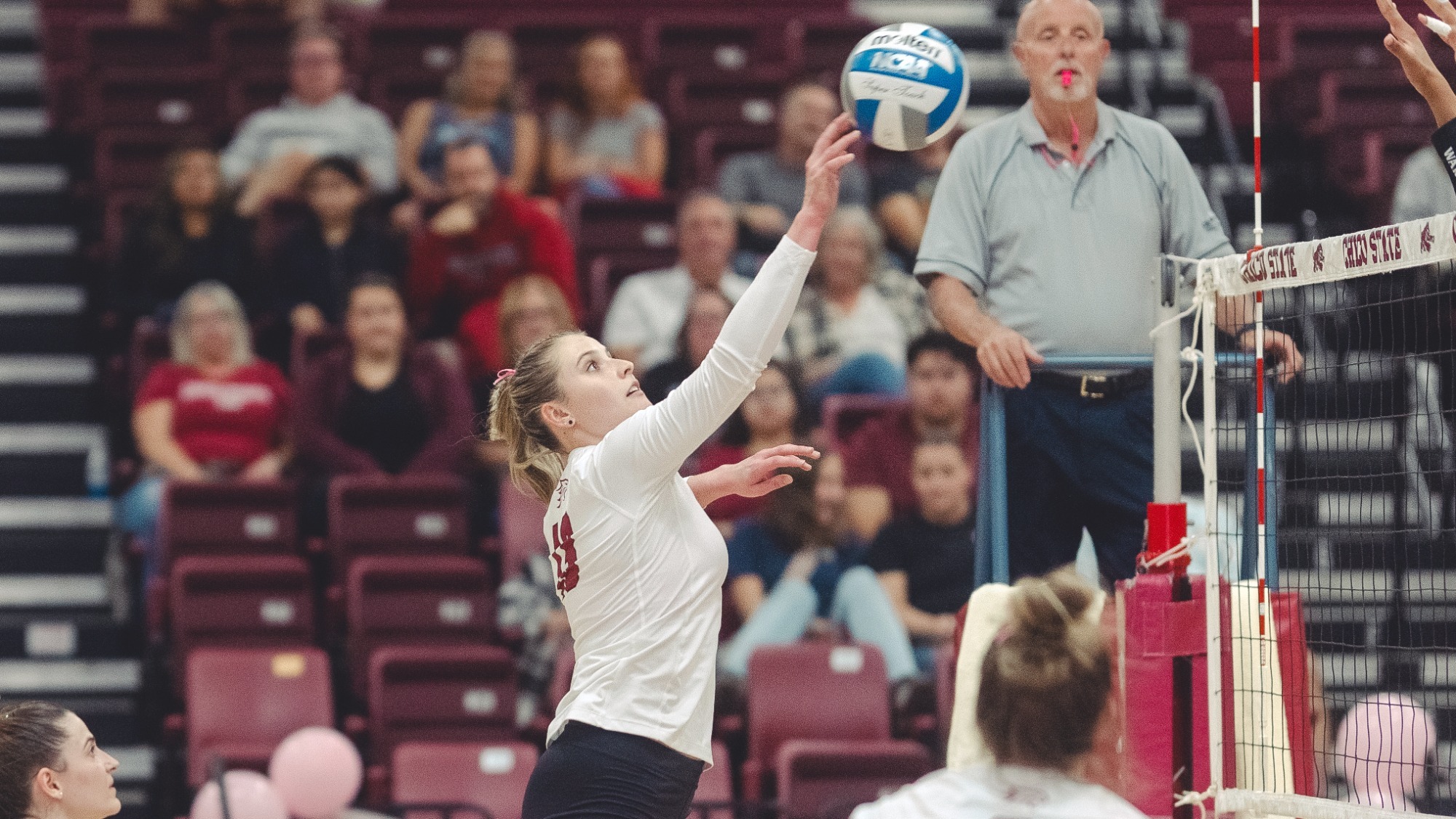 Zoe DiNardo - 2023 - Volleyball - Chico State Athletics