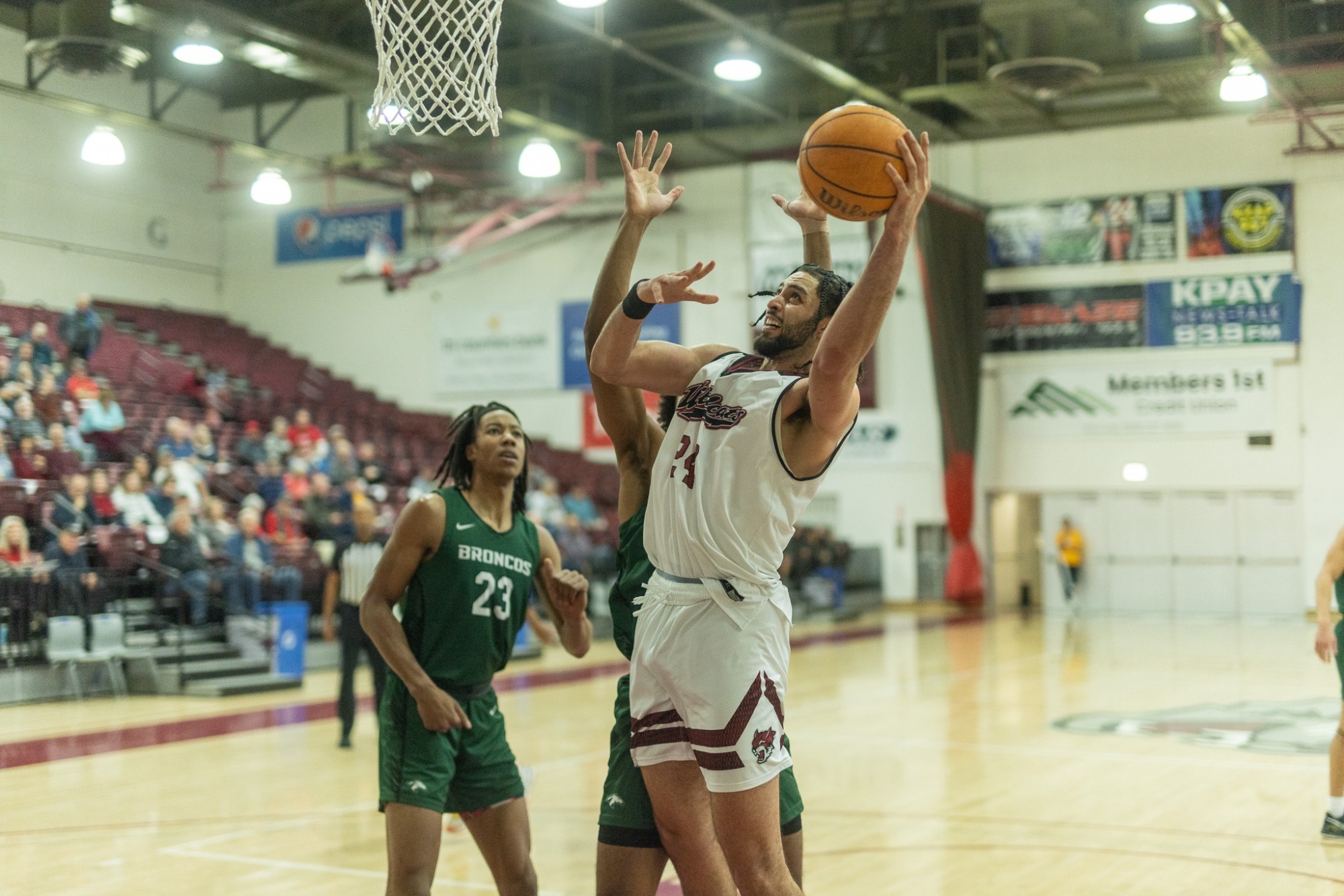 Adam Afifi - 2023-24 - Men's Basketball - Chico State Athletics