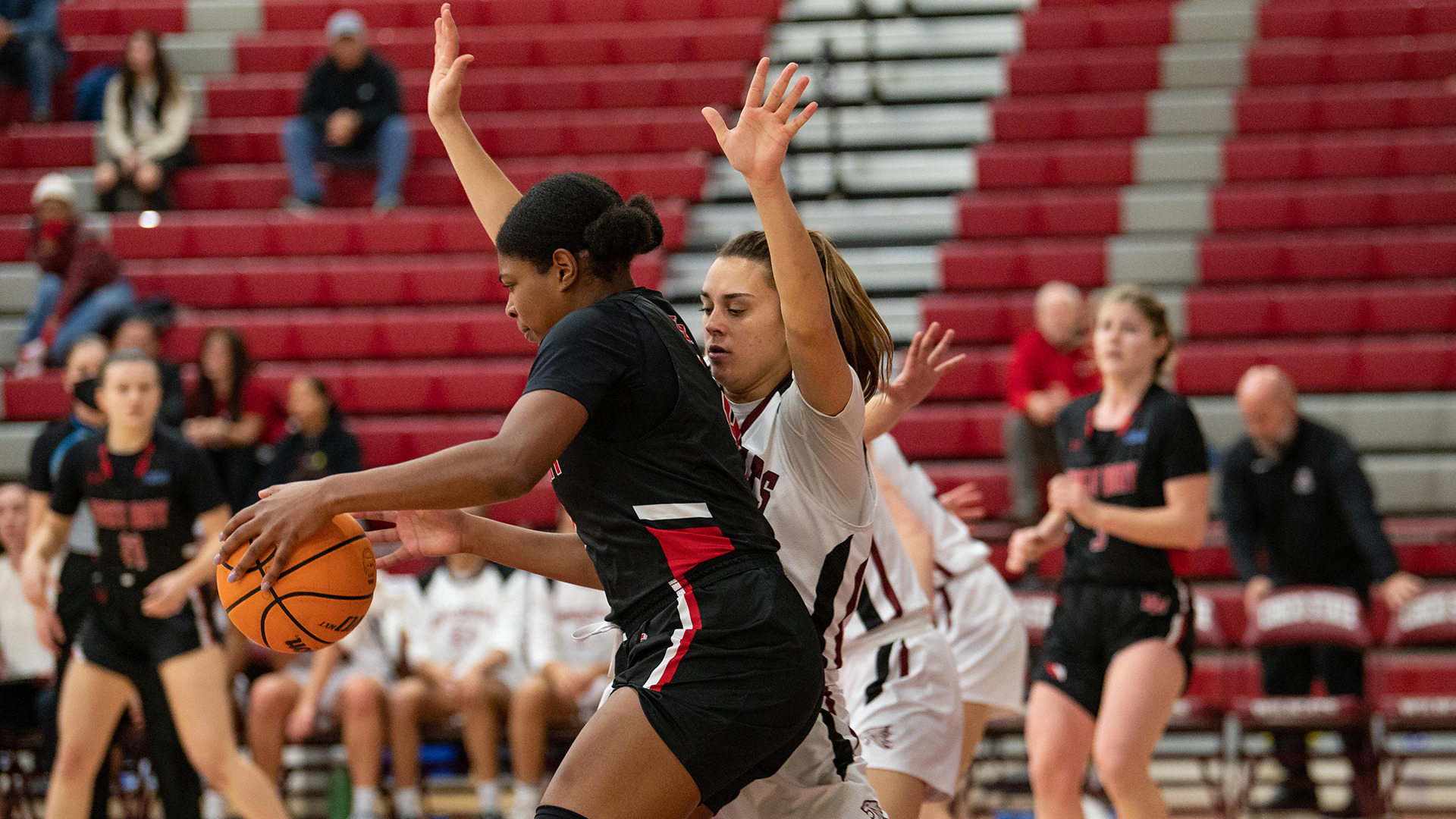 Haley Ison - 2022-23 - Women's Basketball - Chico State Athletics