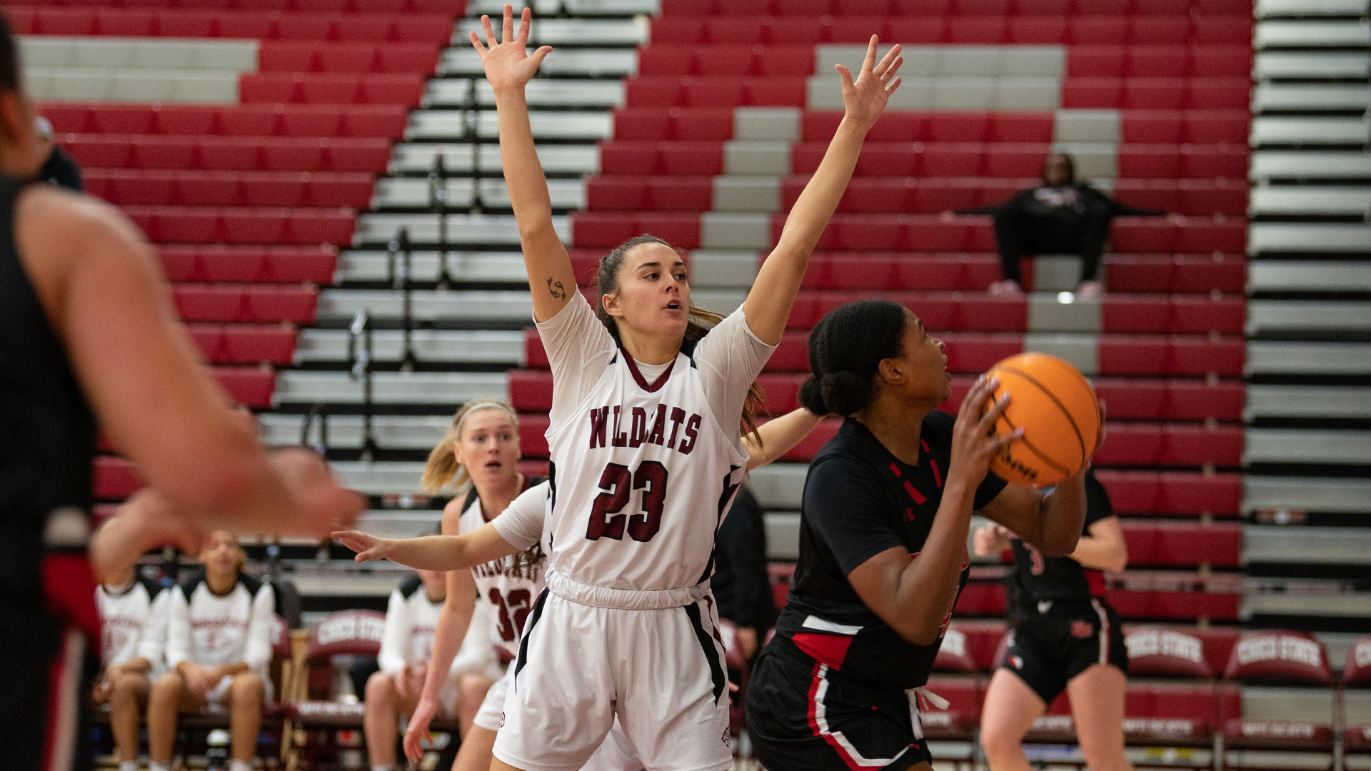 Haley Ison - 2022-23 - Women's Basketball - Chico State Athletics