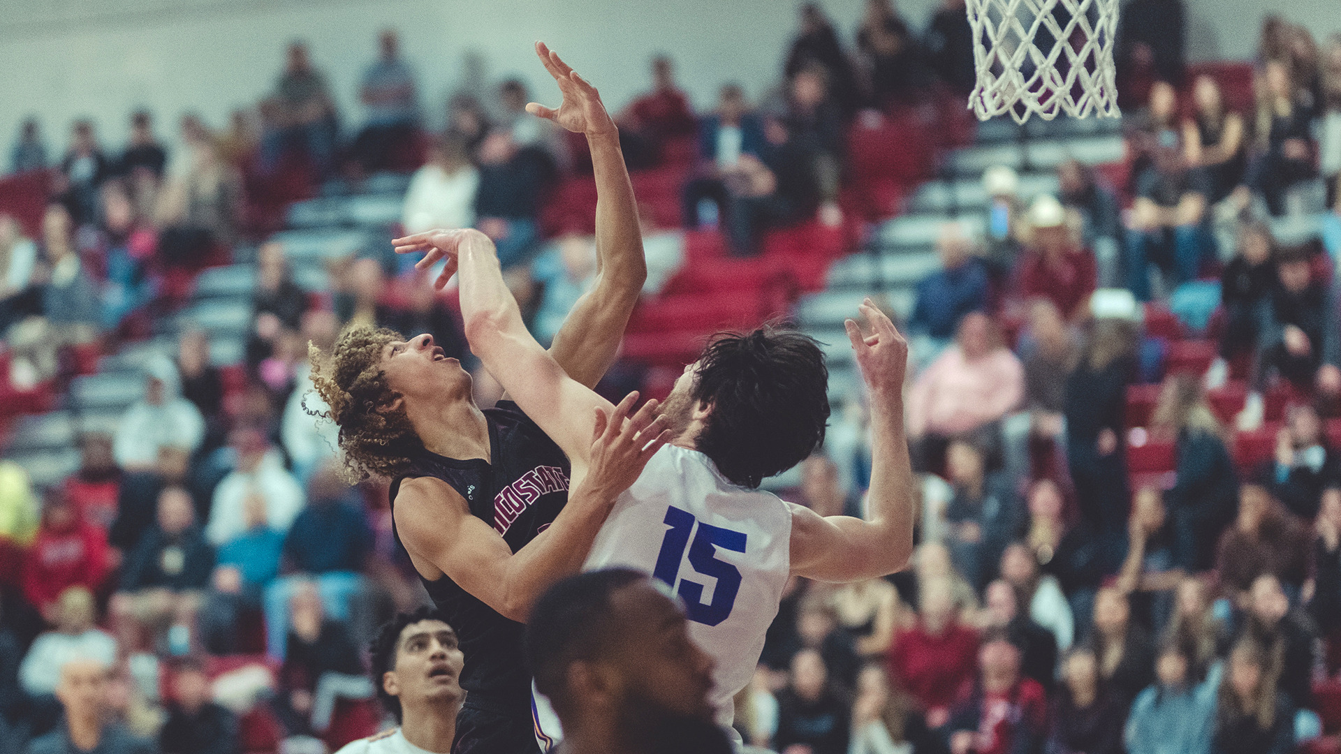 ’Cats bow to Coyotes, but still alive for possible postseason berth ...