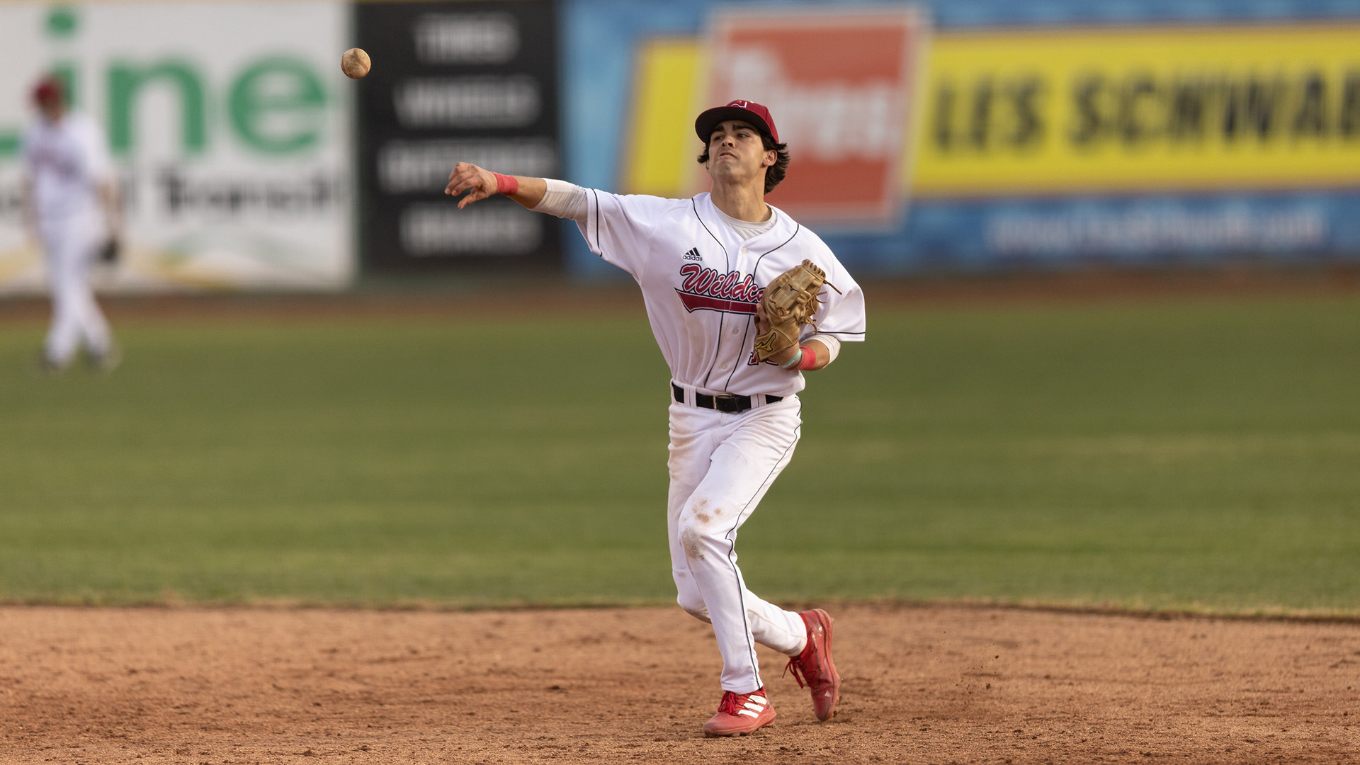 Kaden Bass - 2024 - Baseball - Chico State Athletics