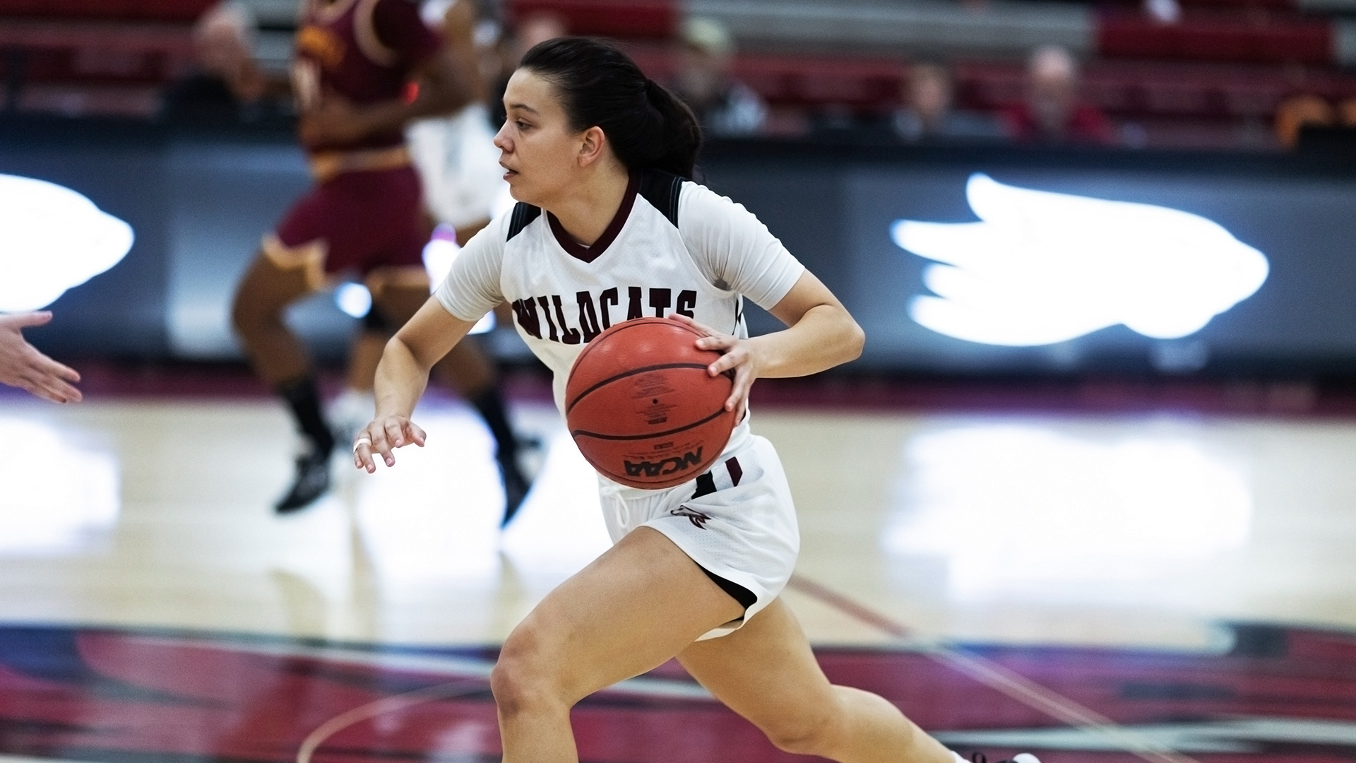 Defense Holds on Again in Win Over Wolves - Chico State Athletics