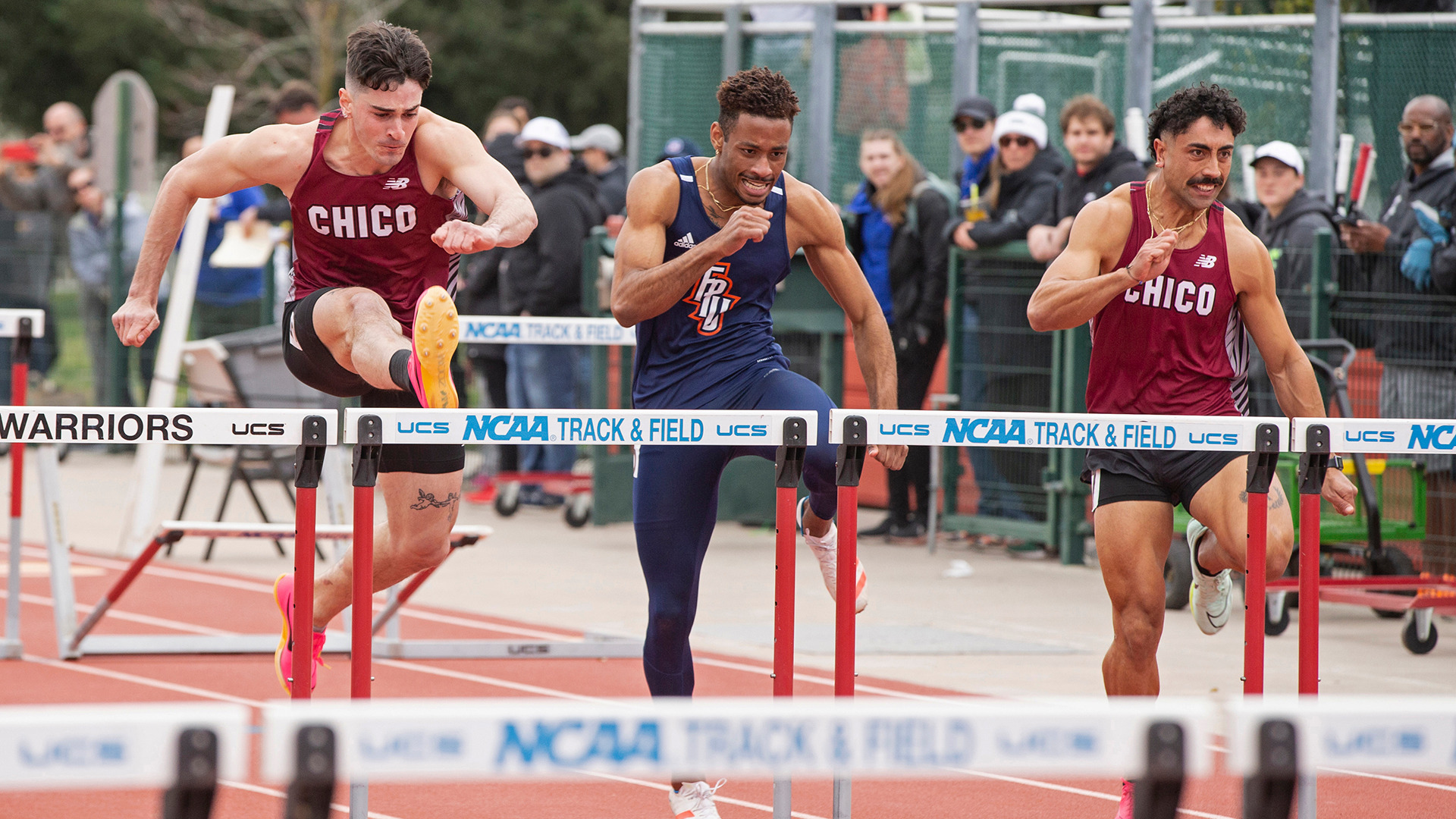 Aaron Mickelsen - 2023 - Men's Track - Chico State Athletics