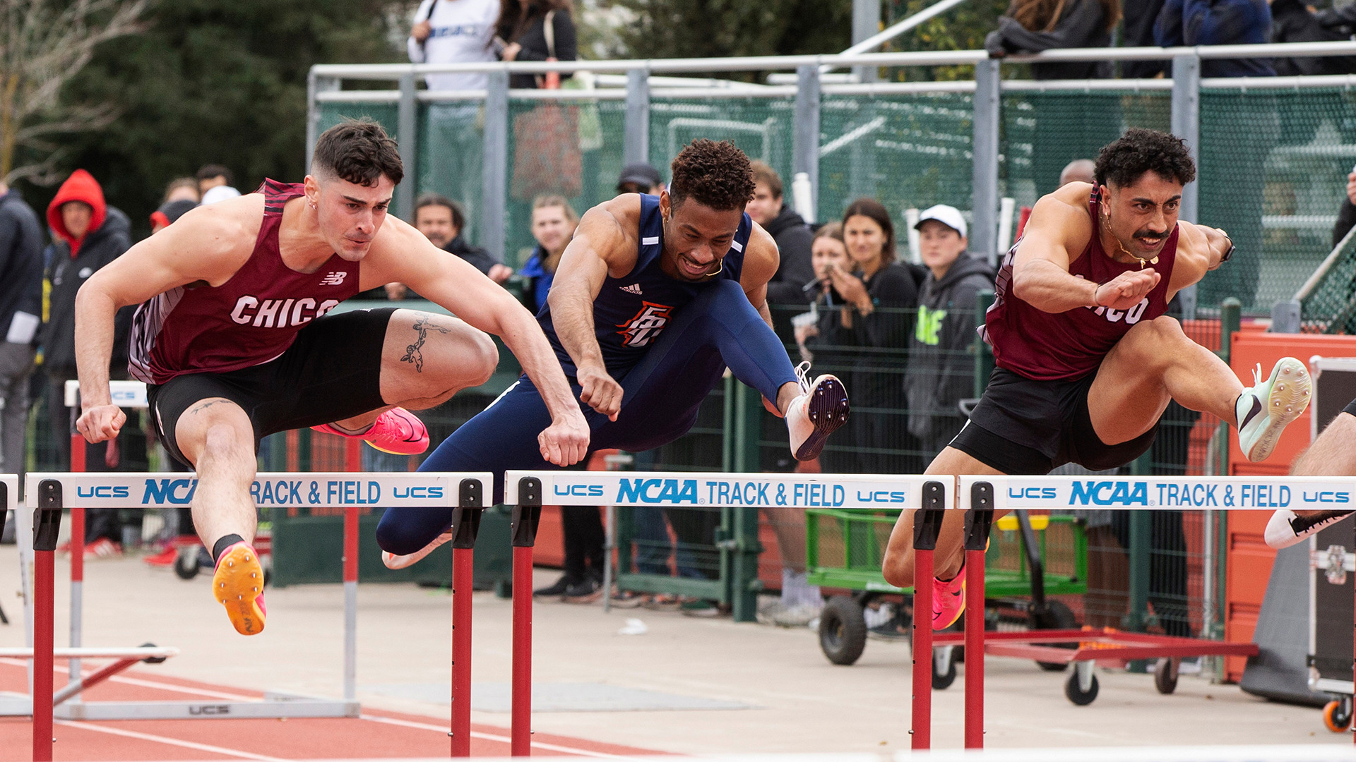 Aaron Mickelsen - 2023 - Men's Track - Chico State Athletics