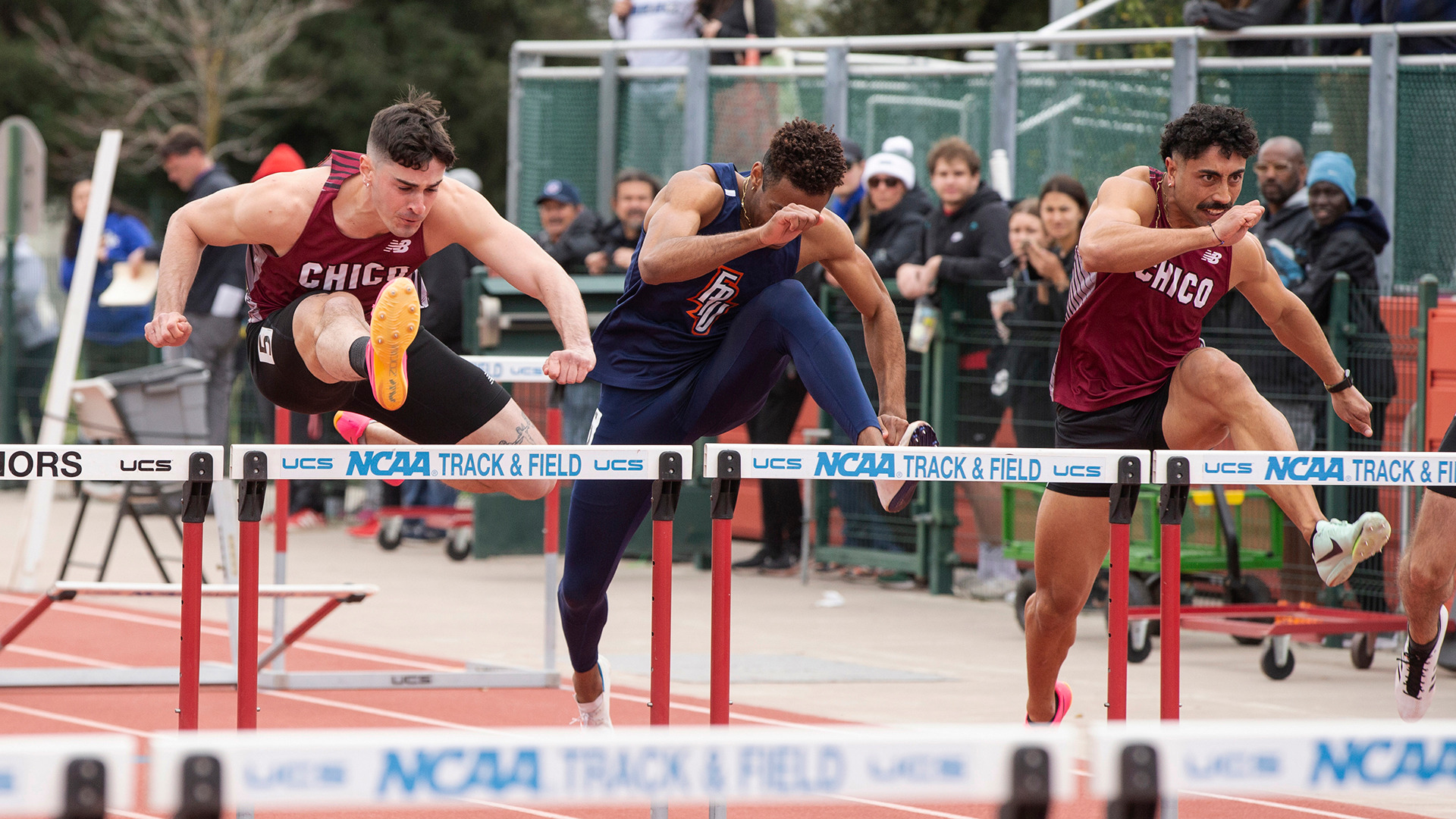Aaron Mickelsen - 2023 - Men's Track - Chico State Athletics