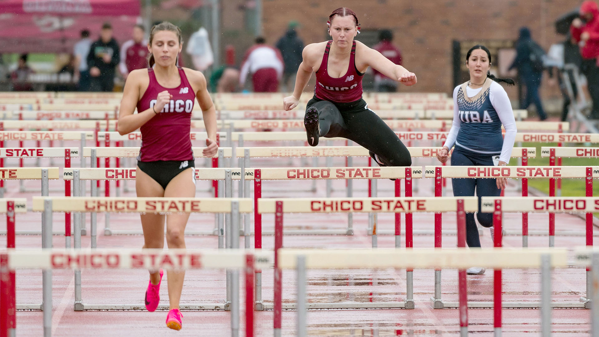 Talyn Steffens - 2024 - Women's Track & Field - Chico State Athletics