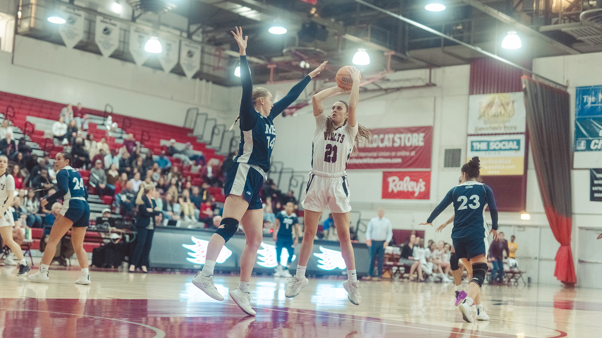Haley Ison - 2022-23 - Women's Basketball - Chico State Athletics
